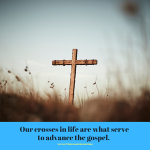 How To Cross-Examine Your Life With The Bible | Trisha Keehn